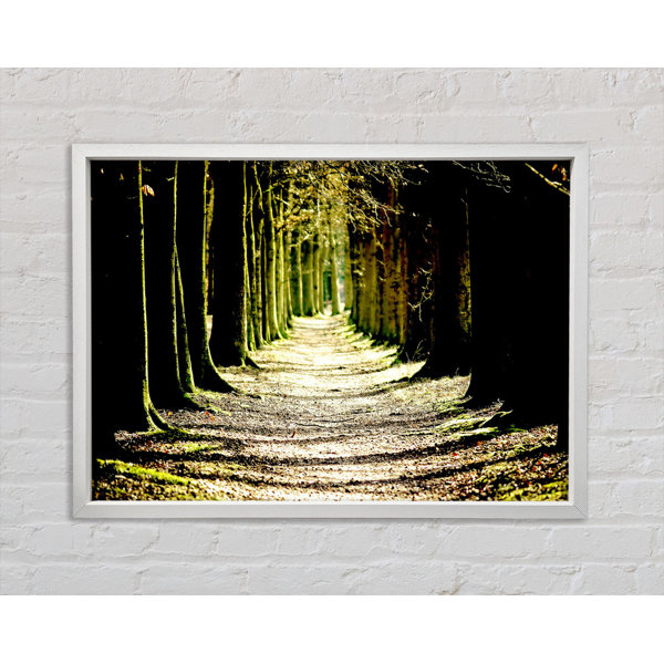 Union Rustic Baumgesäumter Pfad - Einzelner Bilderrahmen Kunstdrucke auf Leinwand | Wayfair.de